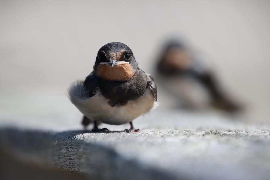 Yale Swallow Protocol PDF: Quick & Easy Download!
